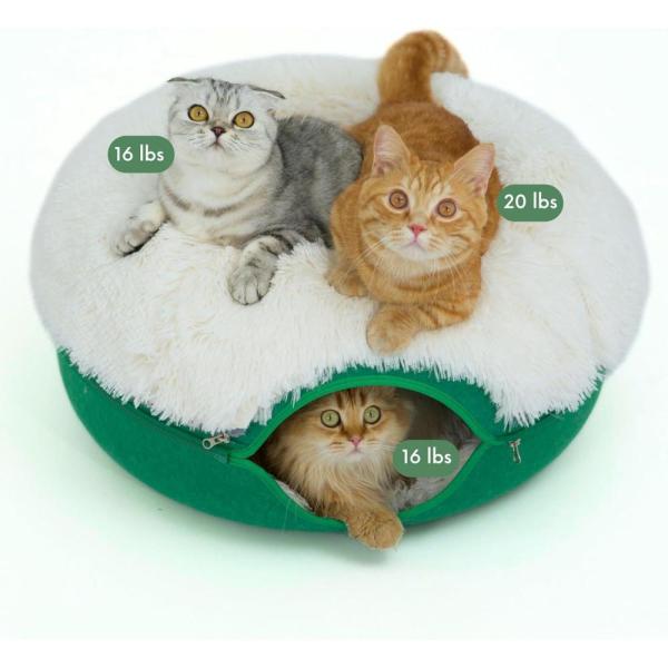 From Cozy Beds to Fun Toys: Shop Cattasaurus for Cats - Cattasaurus Pet ...